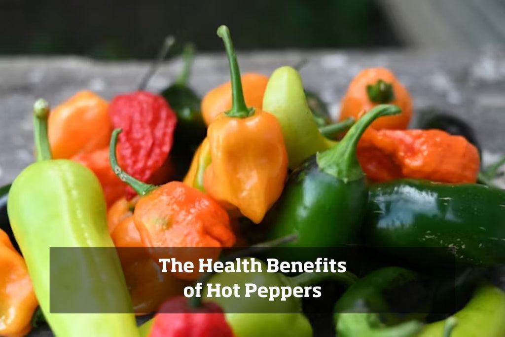 The Health Benefits of Hot Peppers | Why Spice Is Good for You – Naagin